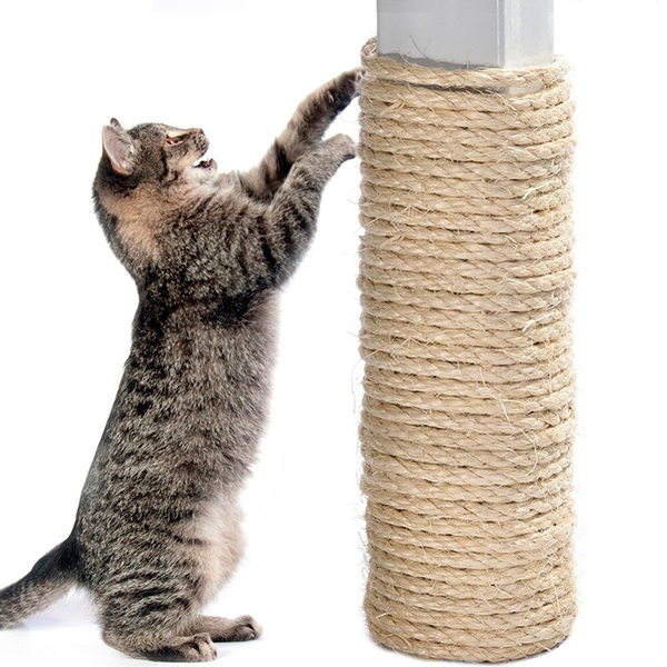 Buy Premium Quality Sustainable Sisal Rope Spools for Feline Enrichment ...