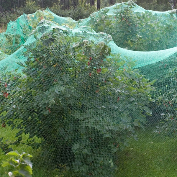 Buy Good Quality Anti-Bird Netting 7gsm High Density Polyethylene ...