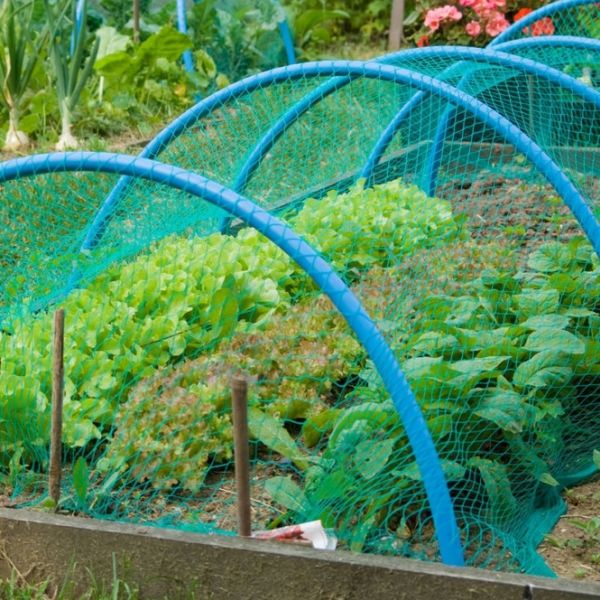 Buy Good Quality Anti-Bird Netting 7gsm High Density Polyethylene ...